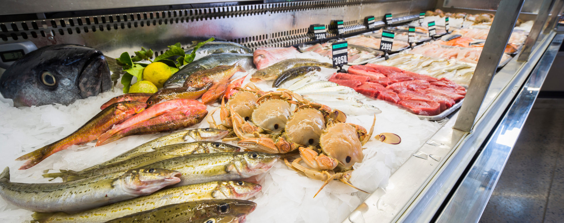 The Fresh Fish Place - CityMag