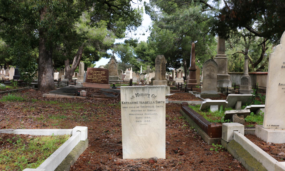 Bringing Dad home - CityMag