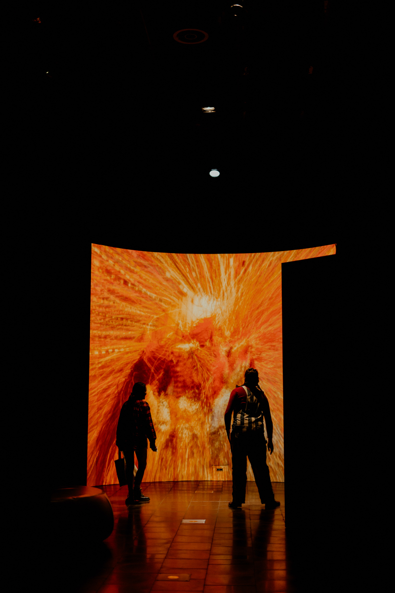 CROP Museum of Discovery North Terrace Adelaide MOD FLEX Opening Night ...