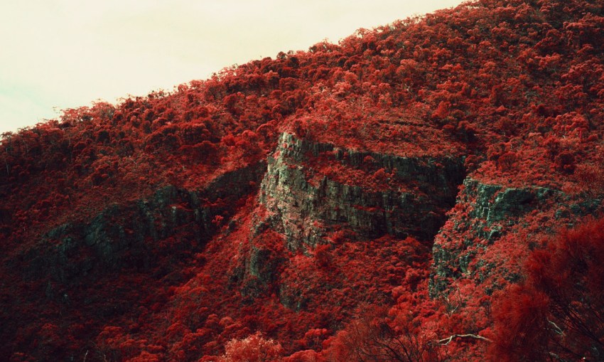 Red Earth takes a fresh look at South Australia's landscape - CityMag