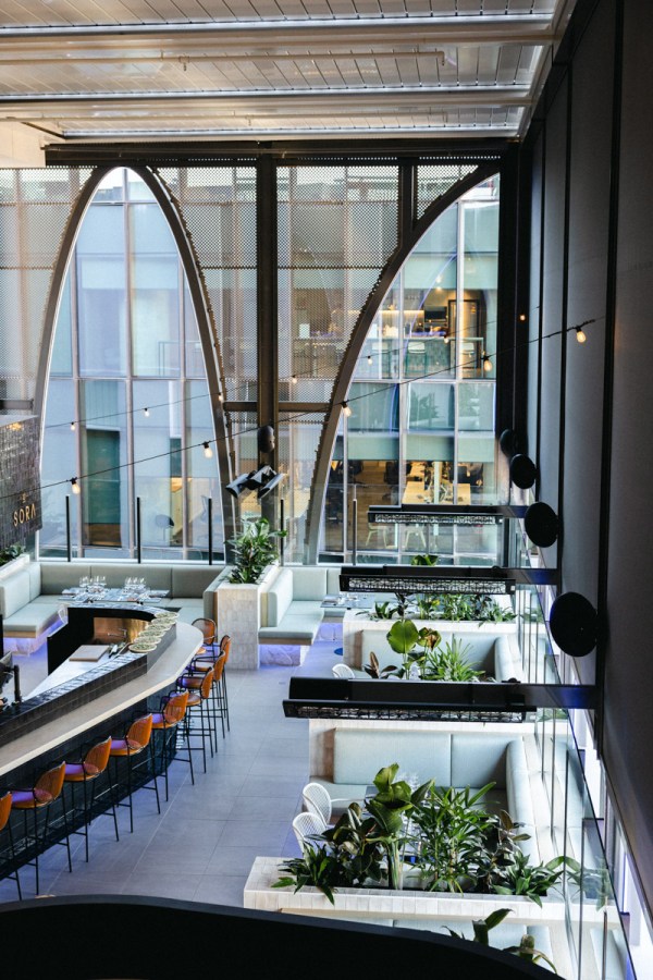 SORA on Pirie Street set to fly sky-high - CityMag | InDaily, Inside ...