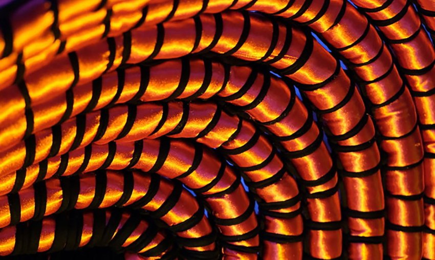 Studios: 2024 - CityMag