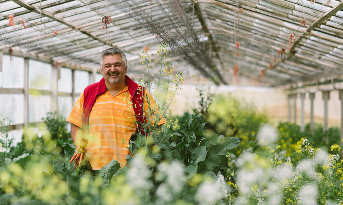 Agriculture to order - CityMag